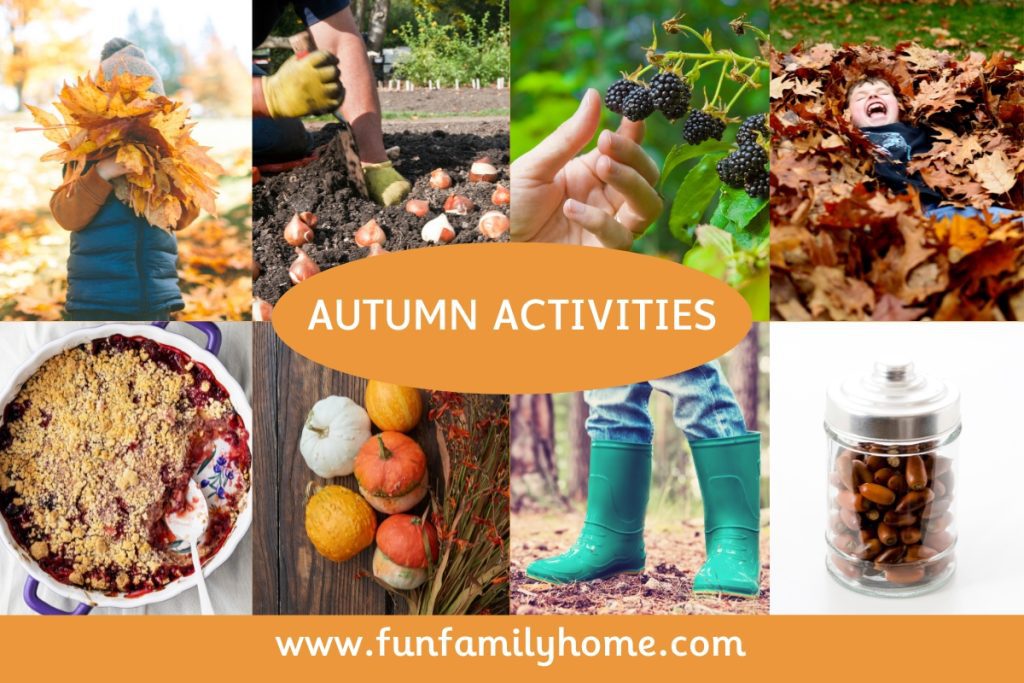 Autumn Adventures: Fun and Educational Activities for Toddlers and ...