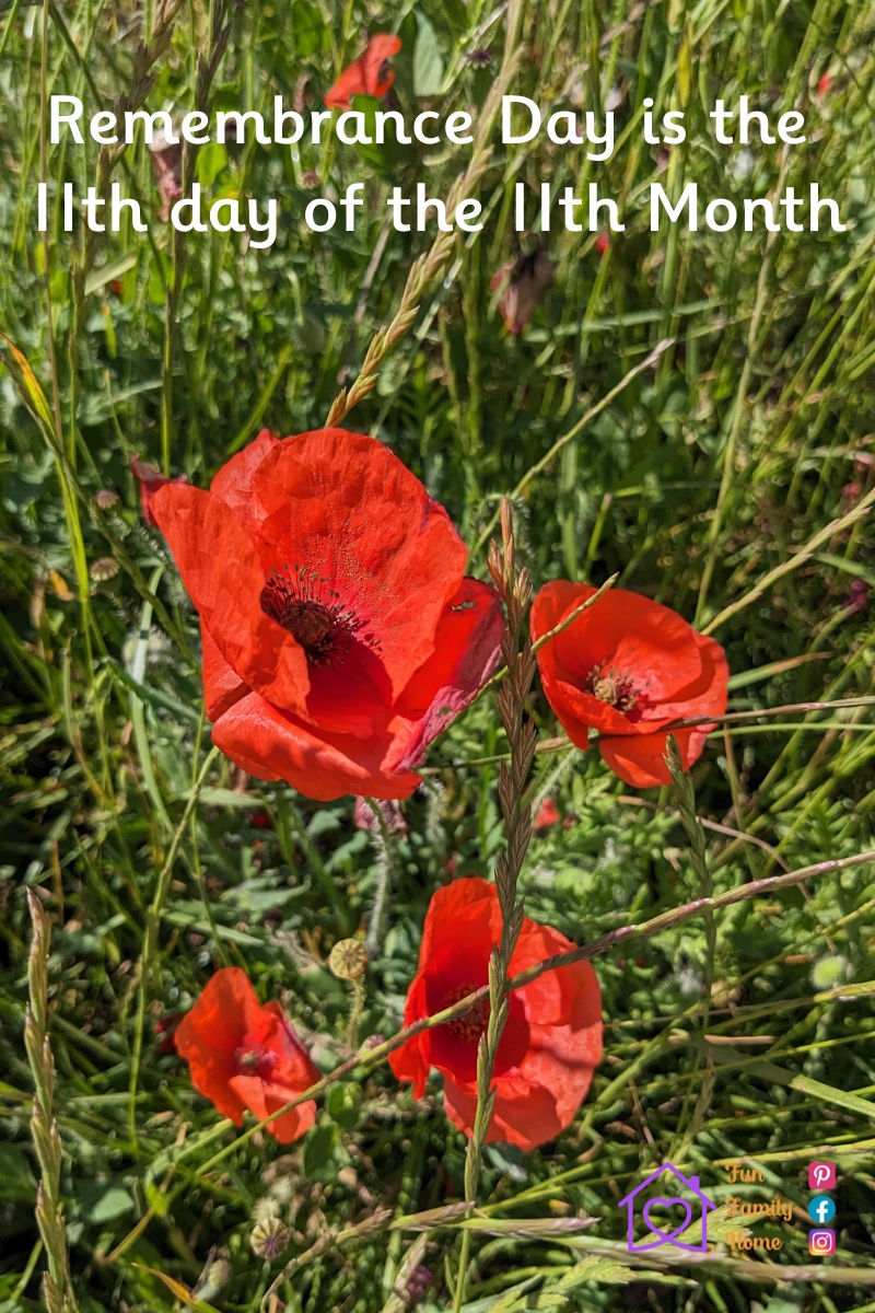 The Ultimate Guide to Remembrance Day Activities for Kids – Fun Family Home