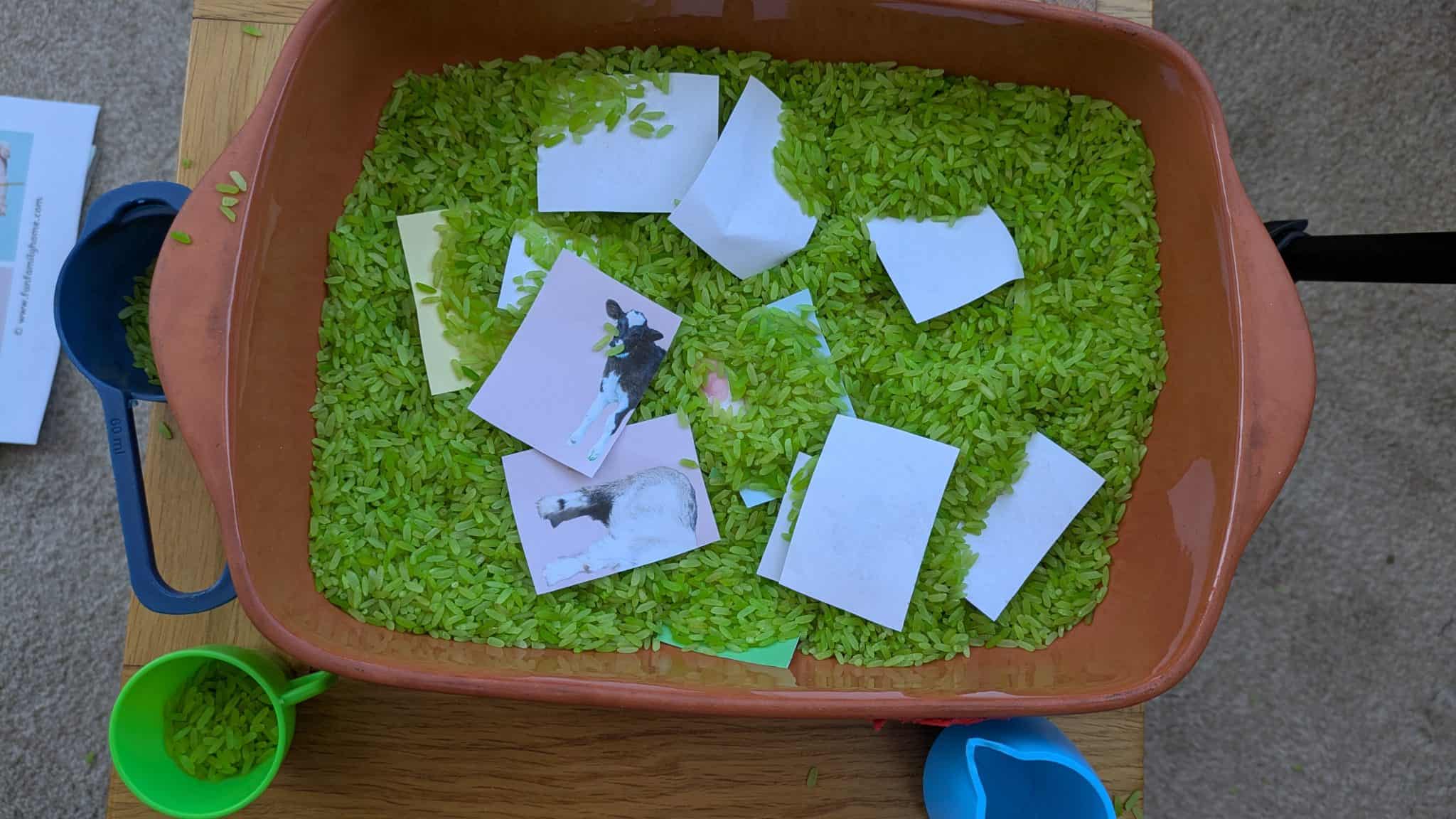 How To Make A Rice Sensory Bin – Fun Family Home